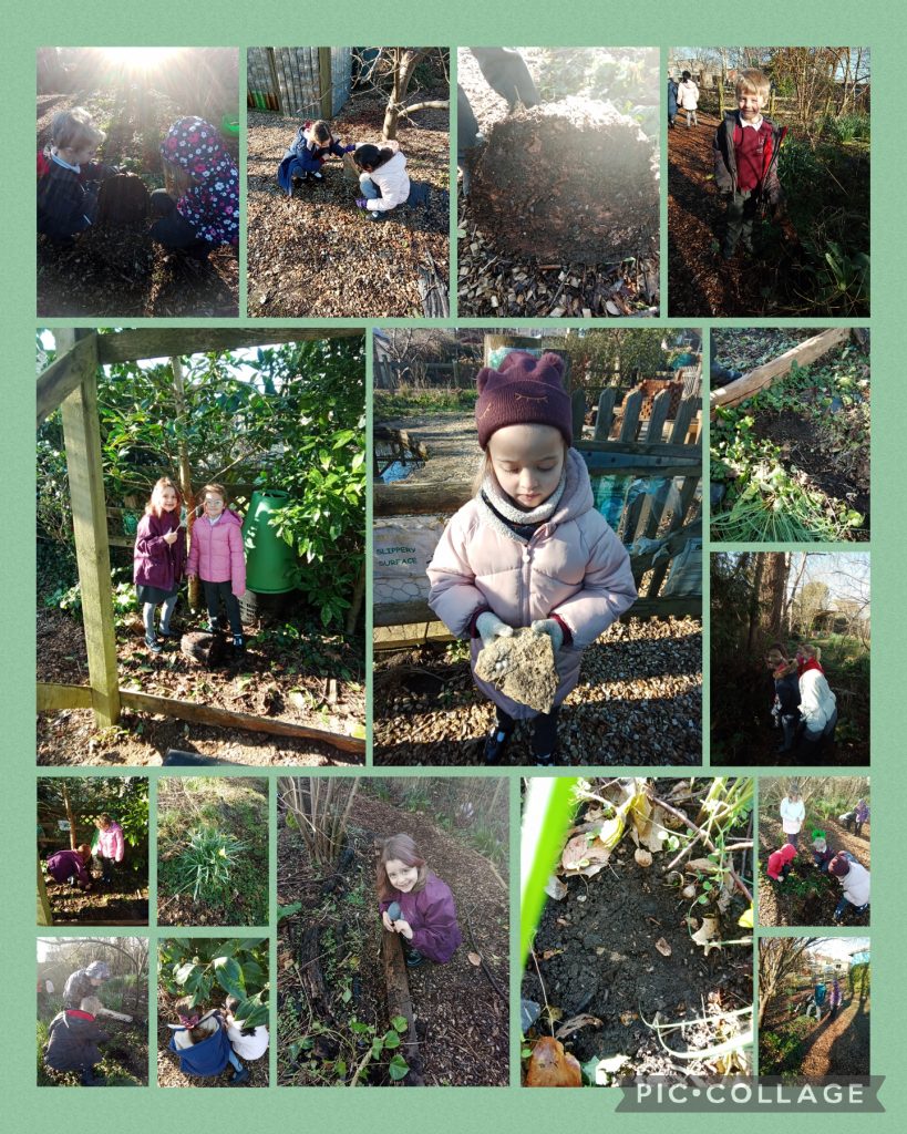 Minibeast Hunt in the Learning Garden - St Nicholas Church of England ...